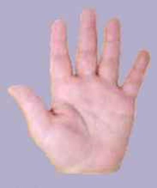 What Do Your Hands Reveal About Your Personality